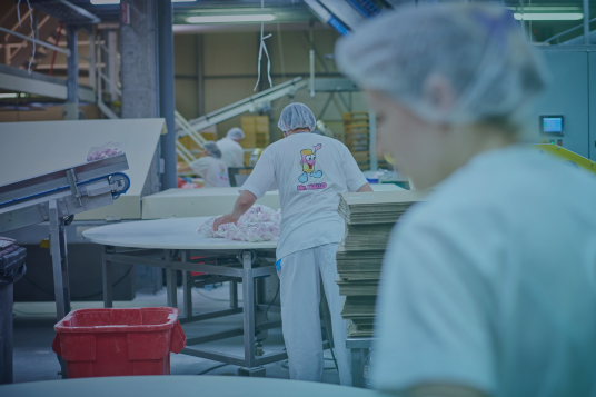 Case study Mr. Mallo