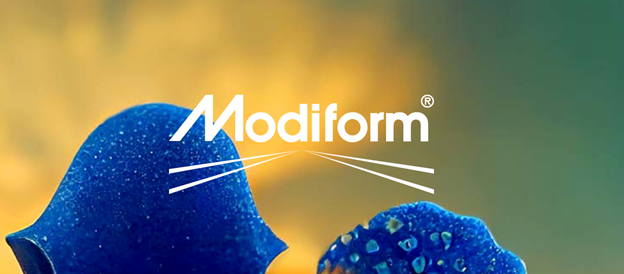 Discover How Modiform is Revolutionizing its Supply Chain with Low Code ...